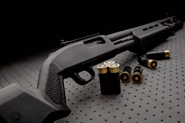 90+ Free Shotgun & Gun Images - Pixabay