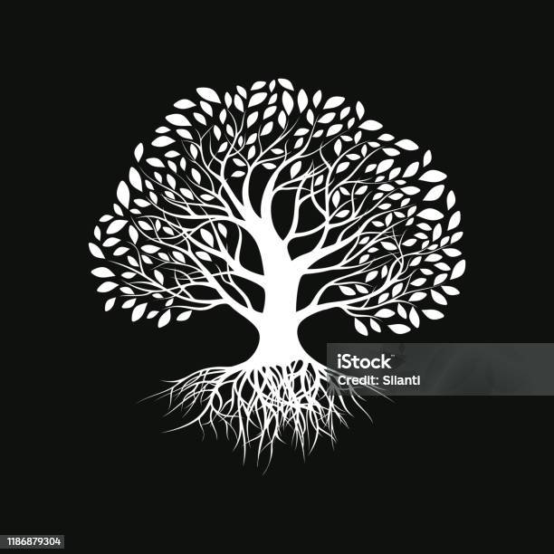 Silhouette Darbre Vecteurs Libres De Droits Et Plus Dimages