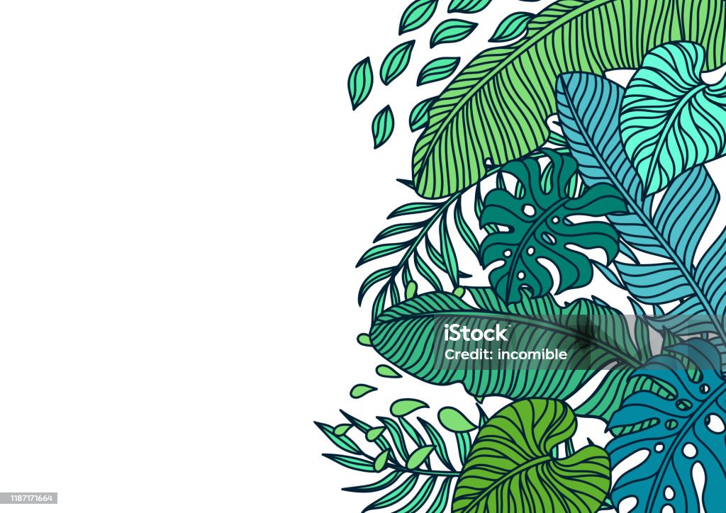 Latar Belakang Dengan Daun Palem Ilustrasi Stok Unduh Gambar Sekarang