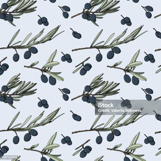 Motif Avec Des Olives Branchement Dolivier Dessiné À La Main Modèle De