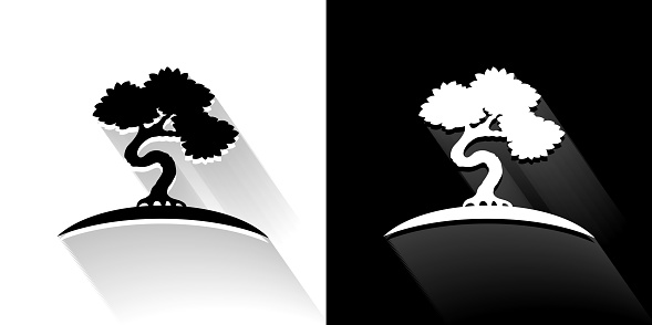 Icône Noire Et Blanche Darbre De Bonsai Avec Lombre Longue Vecteurs