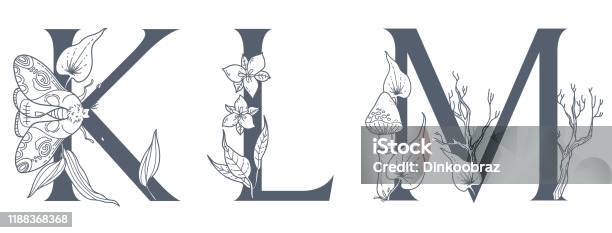 Ilustración De Acuarela Dibujado Letras Tropicales Monogramas O