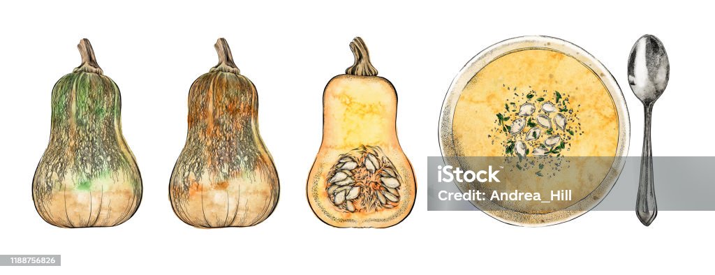 Soupe De Courge Avec Des Courge Diverses Dessin À Lencre Vectorielle Et