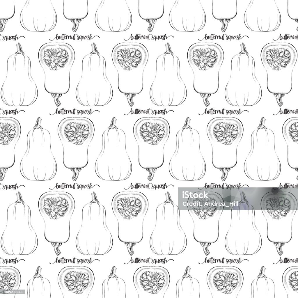 Fond De Modèle Sans Couture De Courge De Butternut Dessin À Lencre
