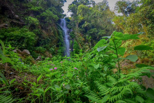 Air Terjun Pictures | Download Free Images on Unsplash