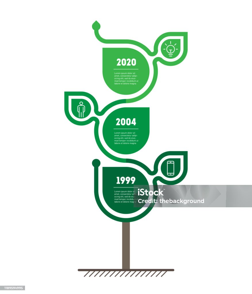 Chronologie Verticale Ou Infographie Développement Et Croissance De
