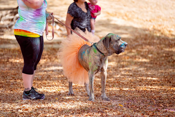 Colour Run Pictures | Download Free Images on Unsplash
