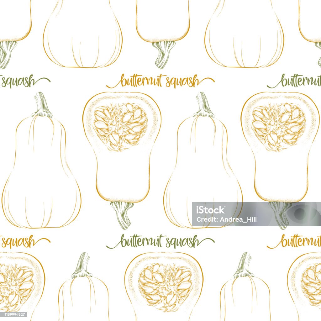 Fond De Modèle Sans Couture De Courge De Butternut Dessin À Lencre