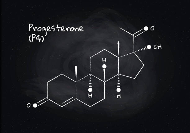 170 Progesterone Pill Stock Illustrations Royalty Free Vector