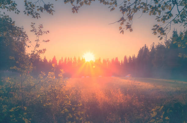 30,000+ Free Summer Solstice & Solstice Images - Pixabay