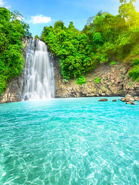 Tropical Rainforests Waterfalls