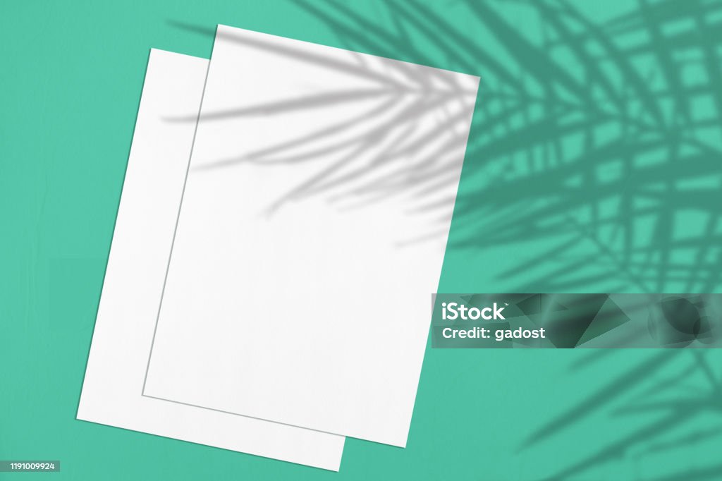 Dua Poster Persegi Vertikal Putih Kosong Atau Mockup Kartu Dengan Bayangan Daun Palem Foto Stok