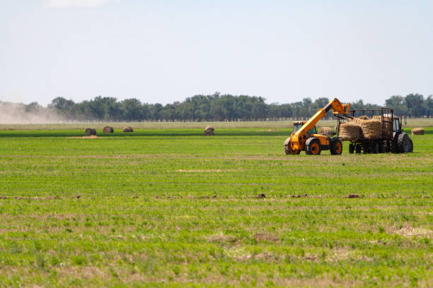Tracteur Pictures | Download Free Images on Unsplash