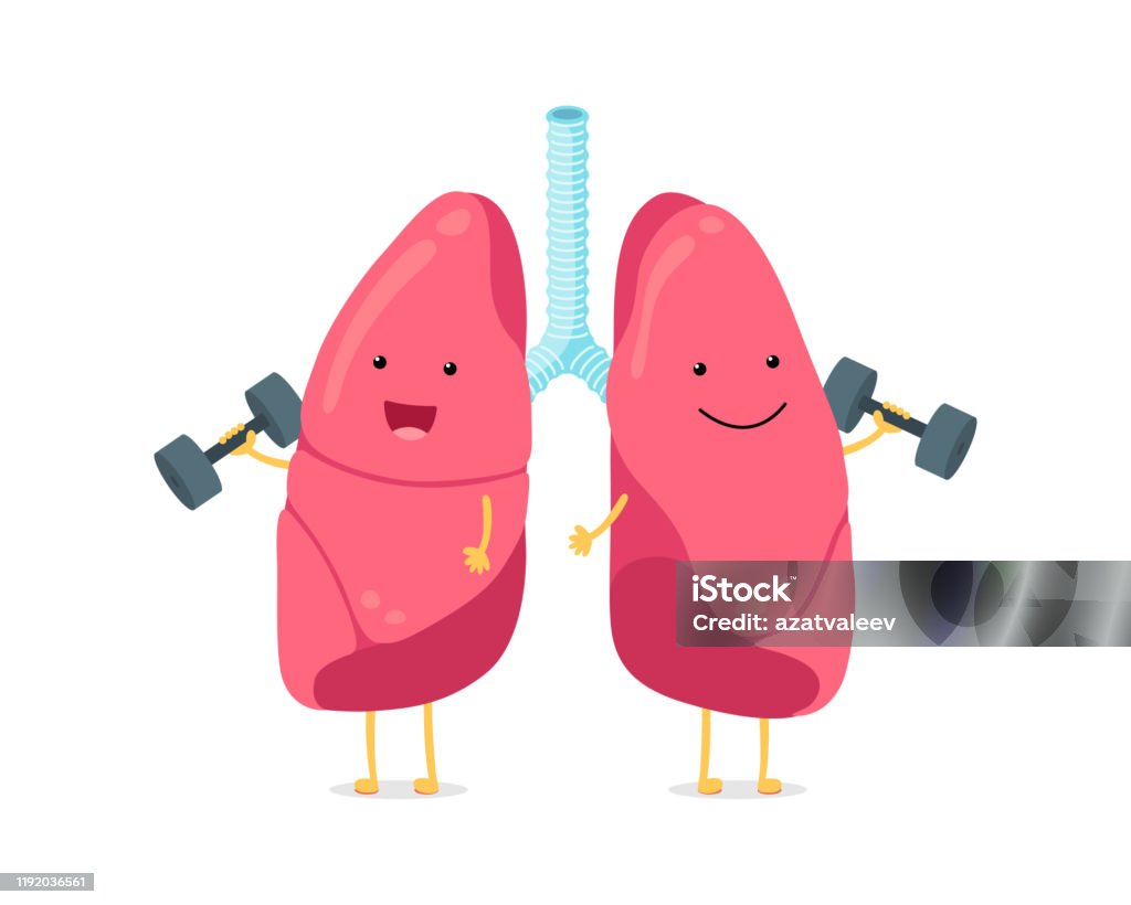 Kartun Lucu Lucu Paruparu Karakter Dengan Dumbbells Paruparu Tersenyum