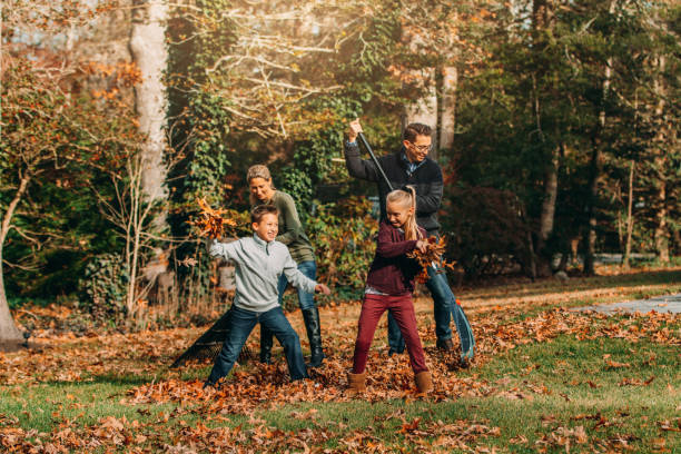 Free Stock Photo of Group of People Holding Autumn Leaves | Download ...