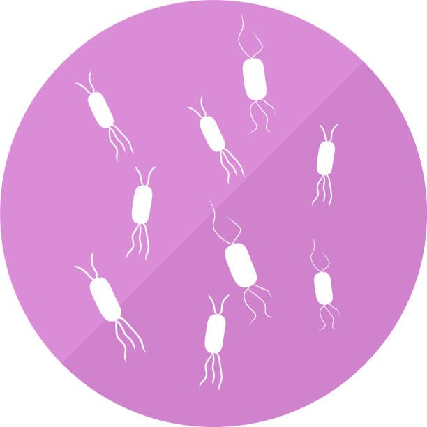 440+ E Coli Icon Stock Illustrations, Royalty-Free Vector Graphics ... 440+ E Coli Icon Stock Illustrations, Royalty-Free Vector Graphics ...