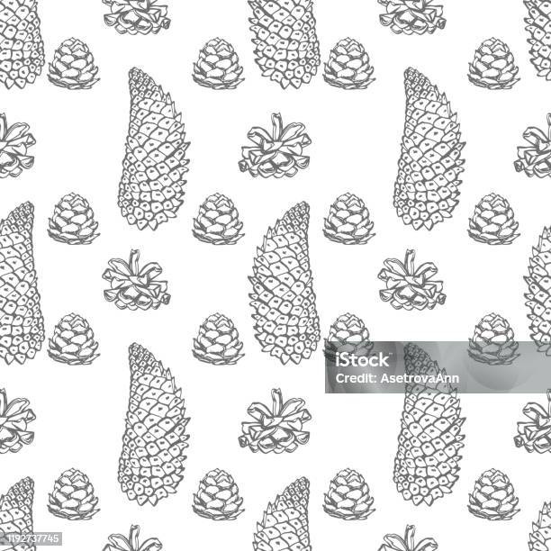 Kerucut Ilustrasi Yang Digambar Dengan Tangan Tahun Baru Dan Elemen