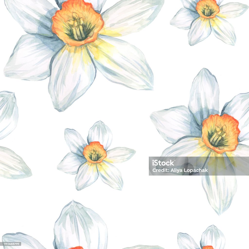 Dessin De Couleur Dillustration Daquarelle De Fleur De Modèle De