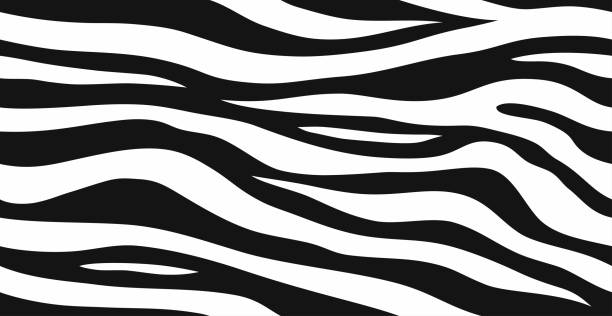 Free Stock Photo of Zebra Stripe background | Download Free Images and ...