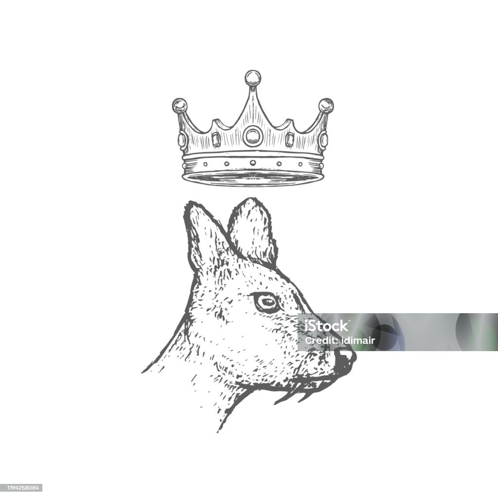 Tangan Digambar Musk Rusa Kepala Dengan Sketsa Mahkota Vektor Ilustrasi Stok Unduh Gambar