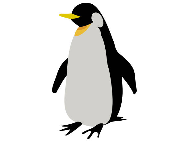 Emperor Penguin Clip Art