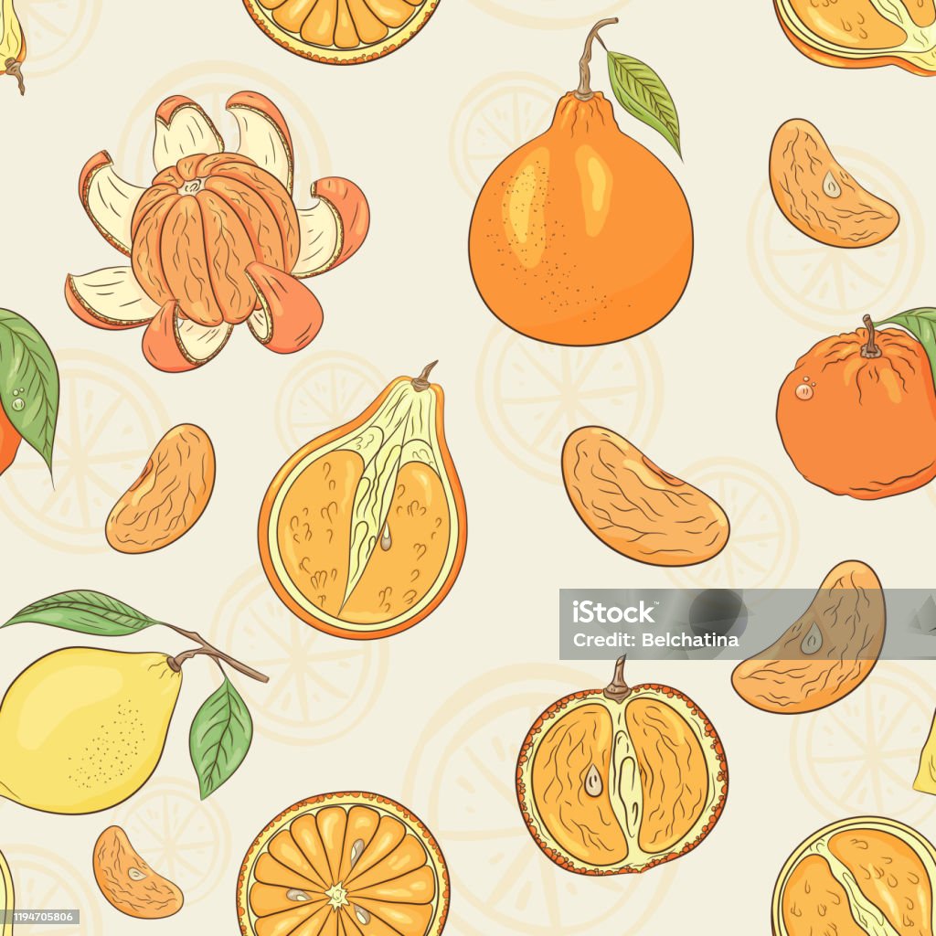 Citrus Mix Pattern Vector Illustration Juicy Fruits Background Stock ... Citrus Mix Pattern Vector Illustration Juicy Fruits Background Stock ...