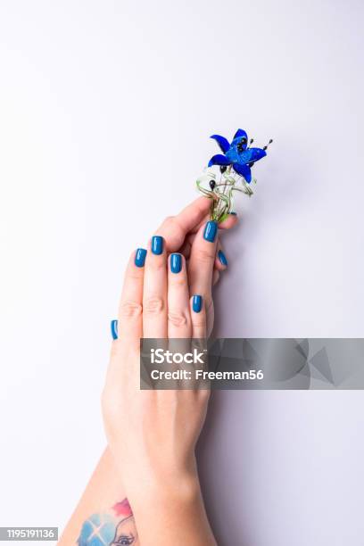 Tangan Wanita Yang Terawat Dengan Baik Dengan Tatoo Dan Dengan Manikur ... Tangan Wanita Yang Terawat Dengan Baik Dengan Tatoo Dan Dengan Manikur ...