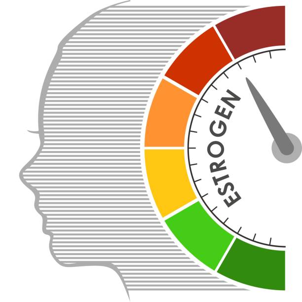 1 500 Estrogen Stock Illustrations Royalty Free Vector Graphics