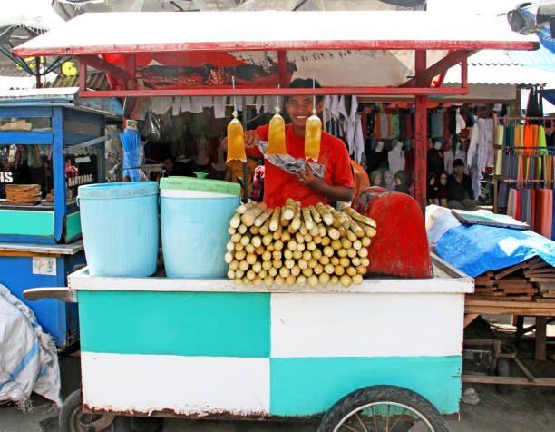 1 100 Bukittinggi Foto Foto Stok Potret And Gambar Bebas Royalti Istock