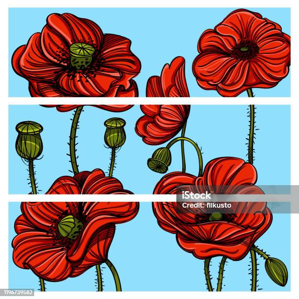 Set Spanduk Horisontal Vektor Dengan Poppy Merah Yang Digambar Tangan