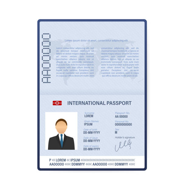 30 Different Types Of Passports Stock Illustrations Royalty Free