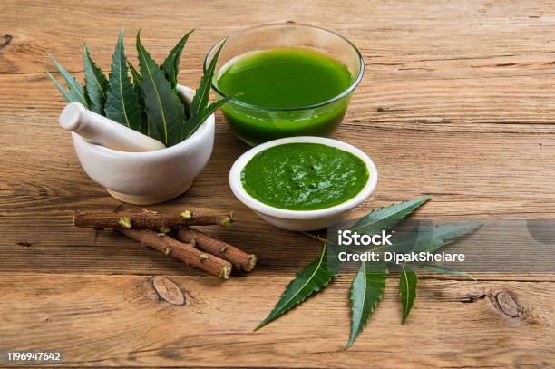 Hojas Medicinales De Neem En Mortero Y Pestillo Con Pasta De Neem Jugo ... Hojas Medicinales De Neem En Mortero Y Pestillo Con Pasta De Neem Jugo ...