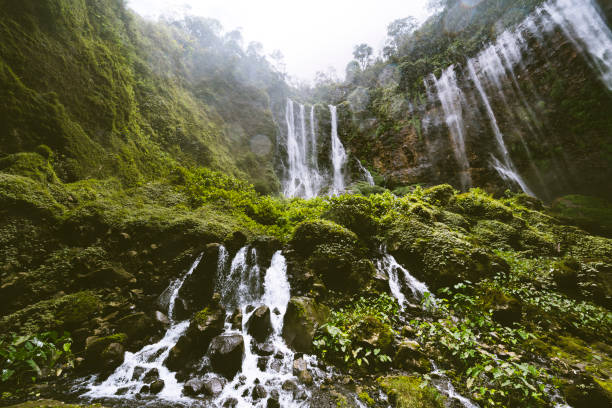 Green Waterfall Pictures | Download Free Images on Unsplash