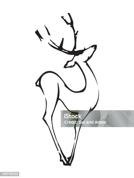 Sketsa Rusa Ilustrasi Stok Unduh Gambar Sekarang Rusa Kutub Rusa Jantan Gambar Produk