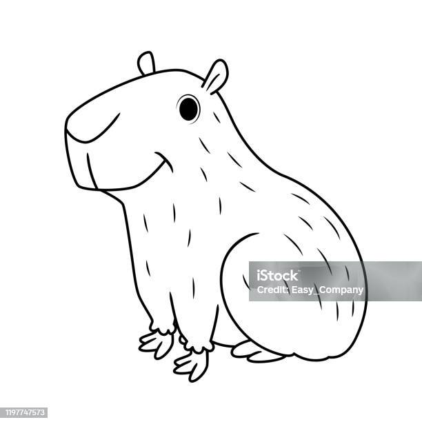 Vektorillustration Von Capybara Isoliert Auf Weißem Hintergrund Für ... Vektorillustration Von Capybara Isoliert Auf Weißem Hintergrund Für ...