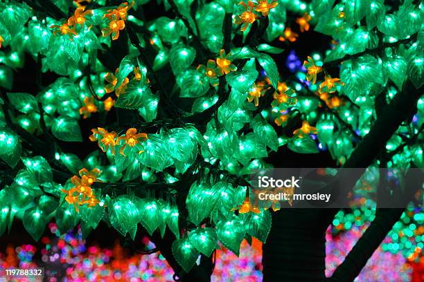Led 조명 나무 정원 0명에 대한 스톡 사진 및 기타 이미지 0명 Led 조명 계절 Istock