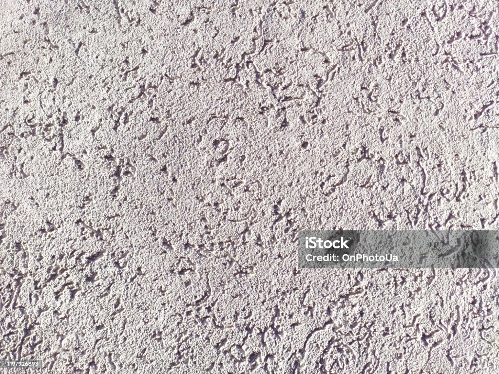 Tekstur Plester Adalah Kumbang Kulit Kayu Di Dinding Tekstur Mulus Foto