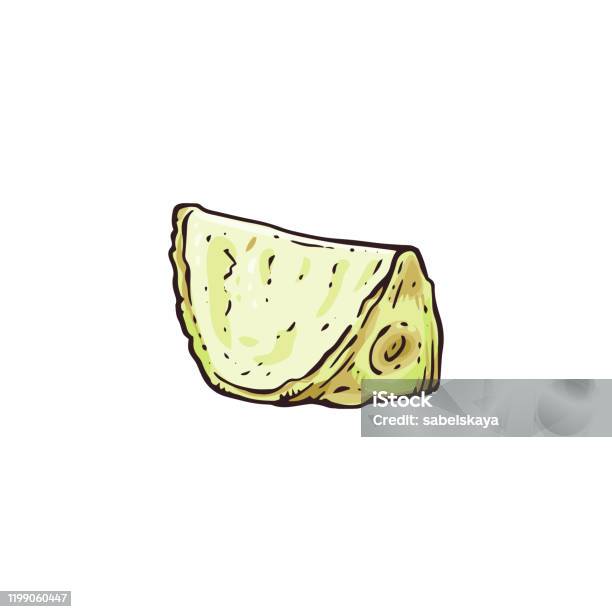 Dessin De Pièce De Racine De Céleri Dans Le Modèle Dessiné À La Main