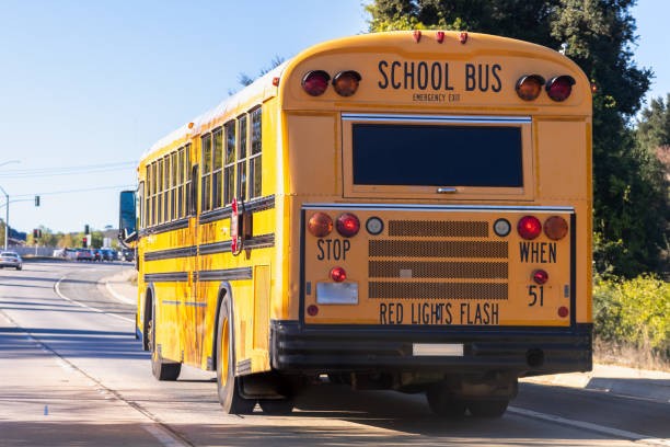 Back Of School Bus Pictures | Download Free Images on Unsplash