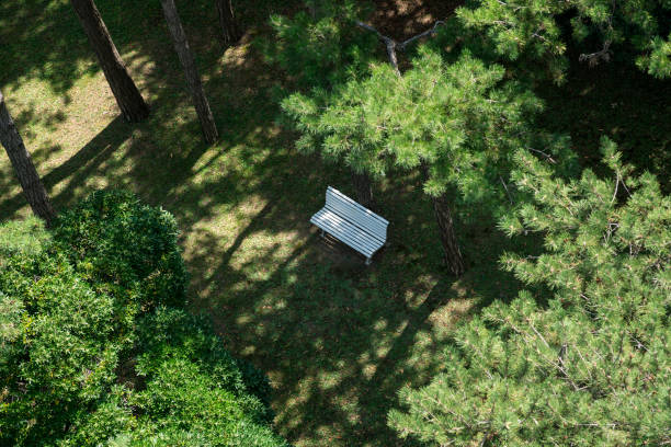 Free Stock Photo of Aerial View of Forest With Bench | Download Free ...