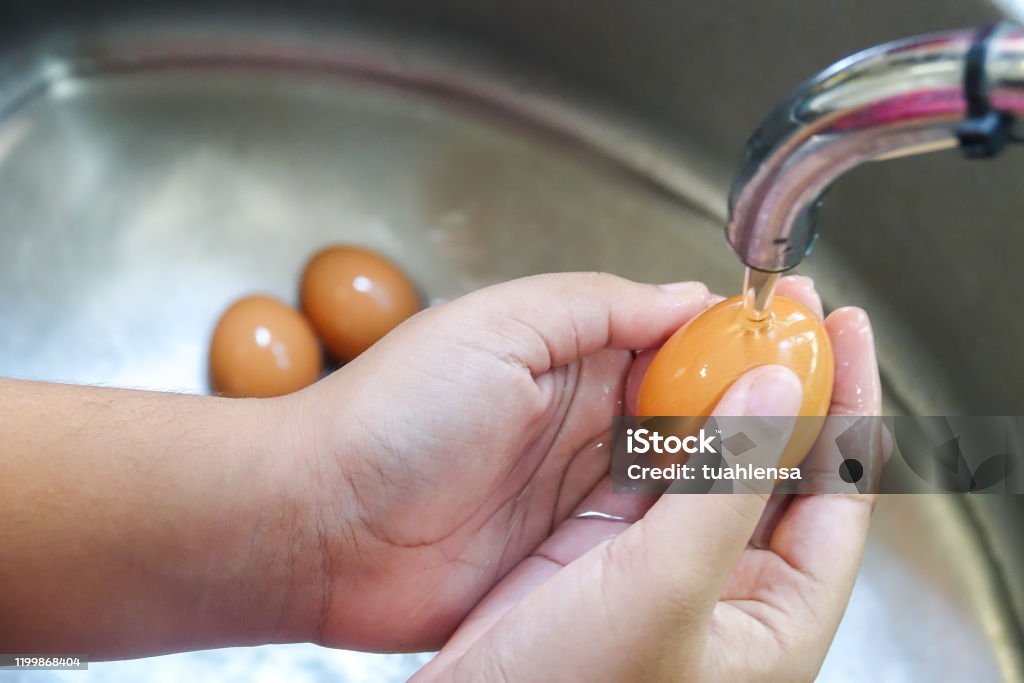 Washing Eggs In A Kitchen Basin Stock Photo - Download Image Now - Blue ... Washing Eggs In A Kitchen Basin Stock Photo - Download Image Now - Blue ...