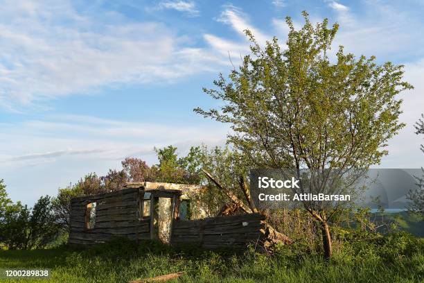 Lanskap Pedesaan Ladang Pertanian Hijau Dan Lereng Bukit Pedesaan Foto ... Lanskap Pedesaan Ladang Pertanian Hijau Dan Lereng Bukit Pedesaan Foto ...