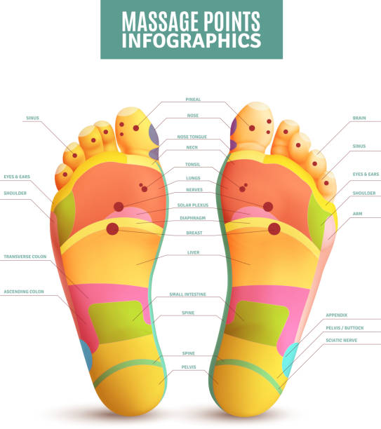 180 Left Foot Right Foot Stock Illustrations Royalty Free Vector