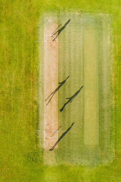Cricket Wallpaper Pictures | Download Free Images on Unsplash