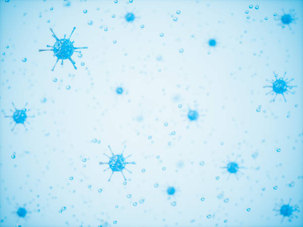 Bacteria Pictures [HD] | Download Free Images on Unsplash
