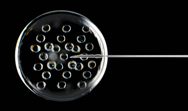 Free picture: cure, injection, needle, scientific research, syringe ...
