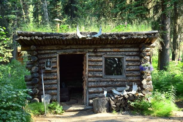 Free picture: trapper, cabin