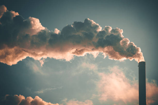 Climate Risk Pictures | Download Free Images on Unsplash