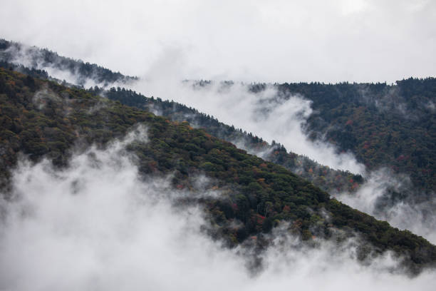 Free Stock Photo of Fog Enveloping Mountain Range | Download Free ...