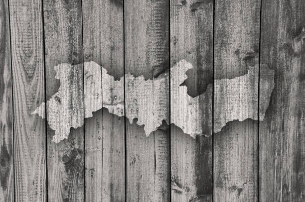 Pernambuco Wood Pictures | Download Free Images on Unsplash